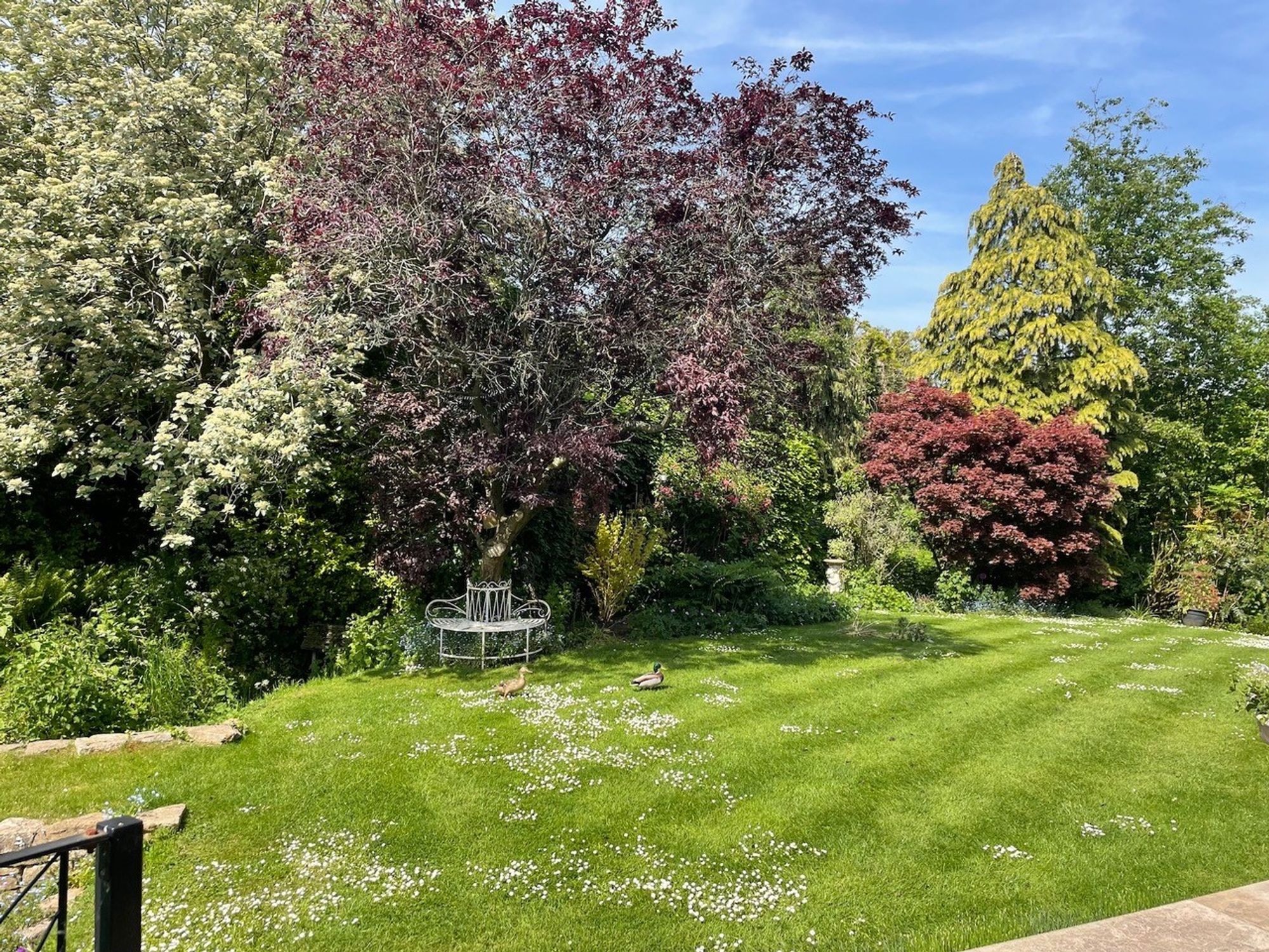 Farm Close, Roydon, CM19 - Elliot Heath